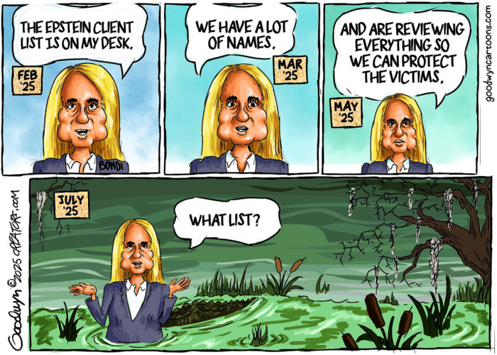 Cartoon Commentary | News, Sports, Jobs - The Mining Gazette